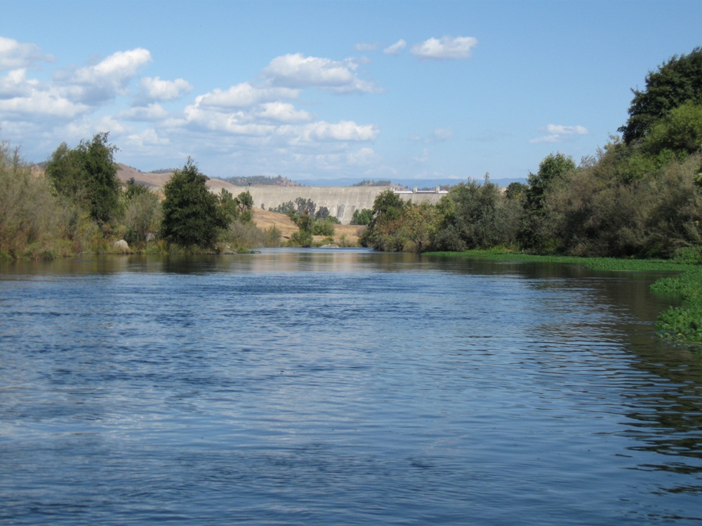 Revive the San Joaquin | Community Alliance