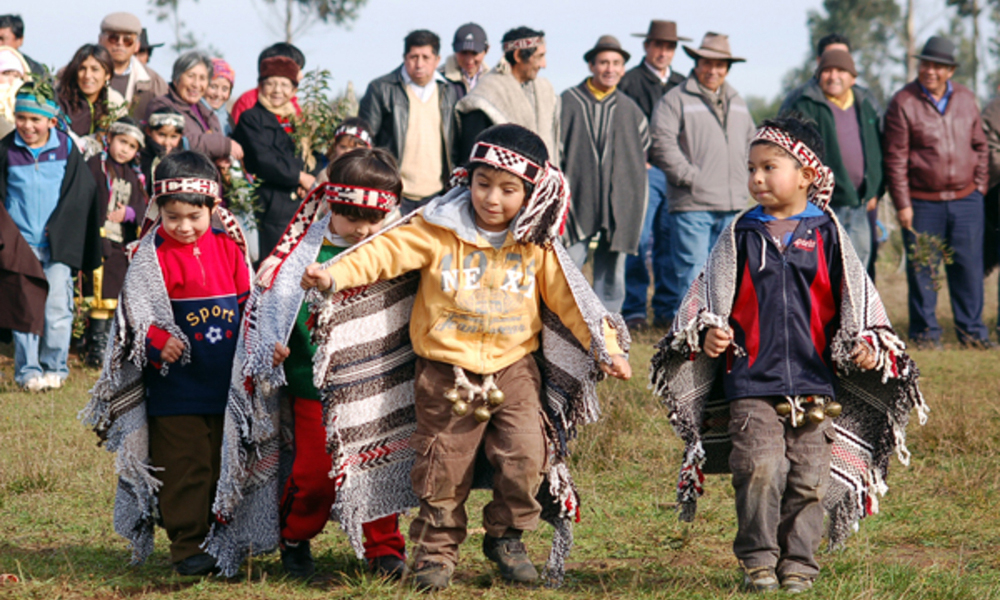 The Key Players in the Mapuche Conflict - Democratic Underground Forums