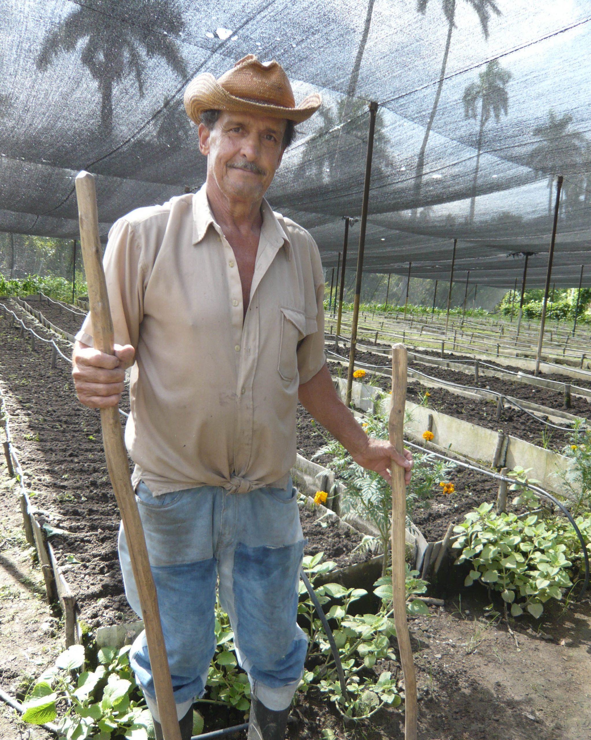 Sanctions, Embargo, Blockade: Siege Warfare by Another Name - Community ...