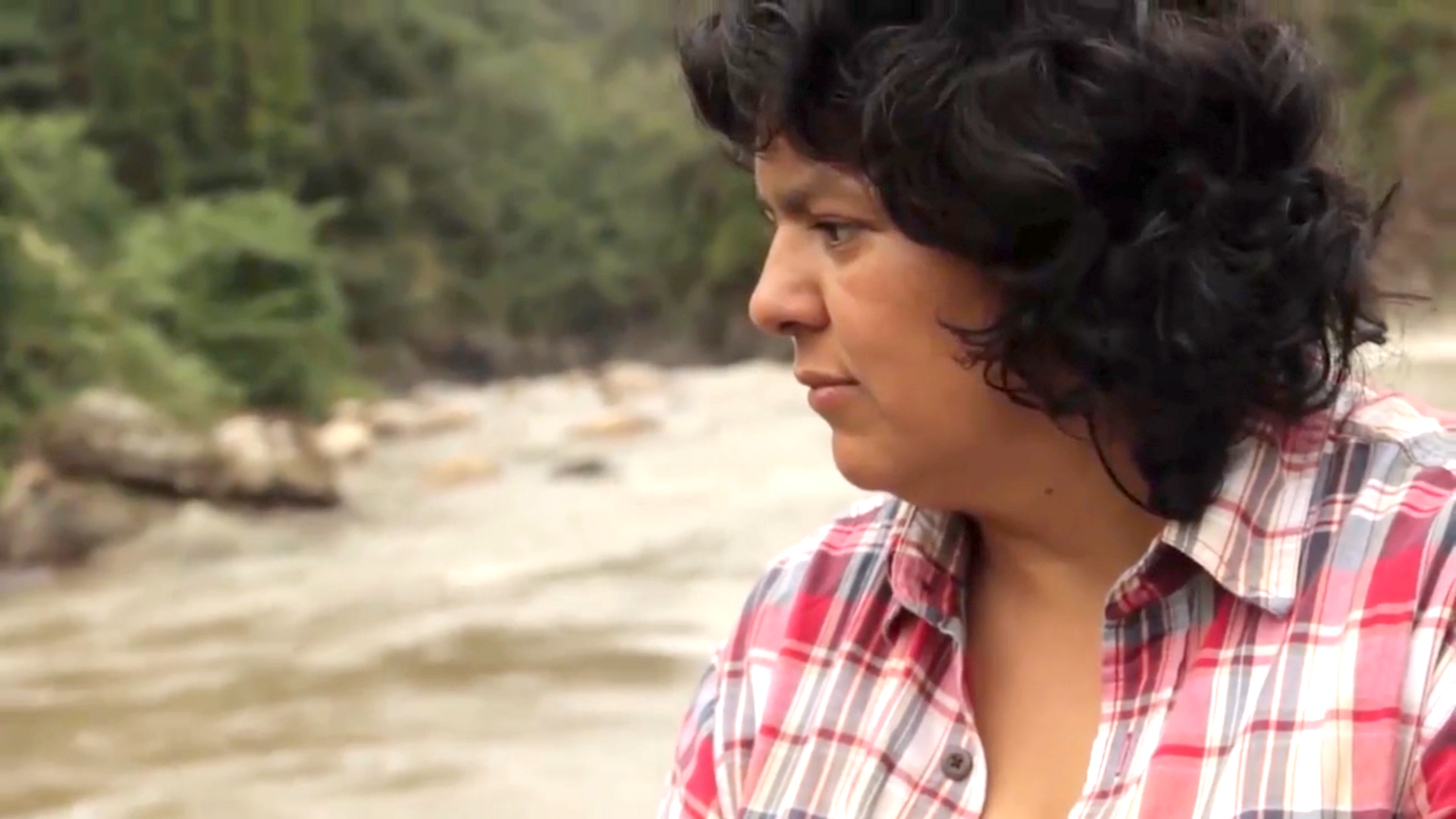 Who Is Behind David Castillo? - Community Alliance